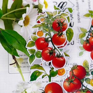 Tomato Watercolor Sticker | Vegetable Tomato Die Cut Stickers, ML05 - Etsy
