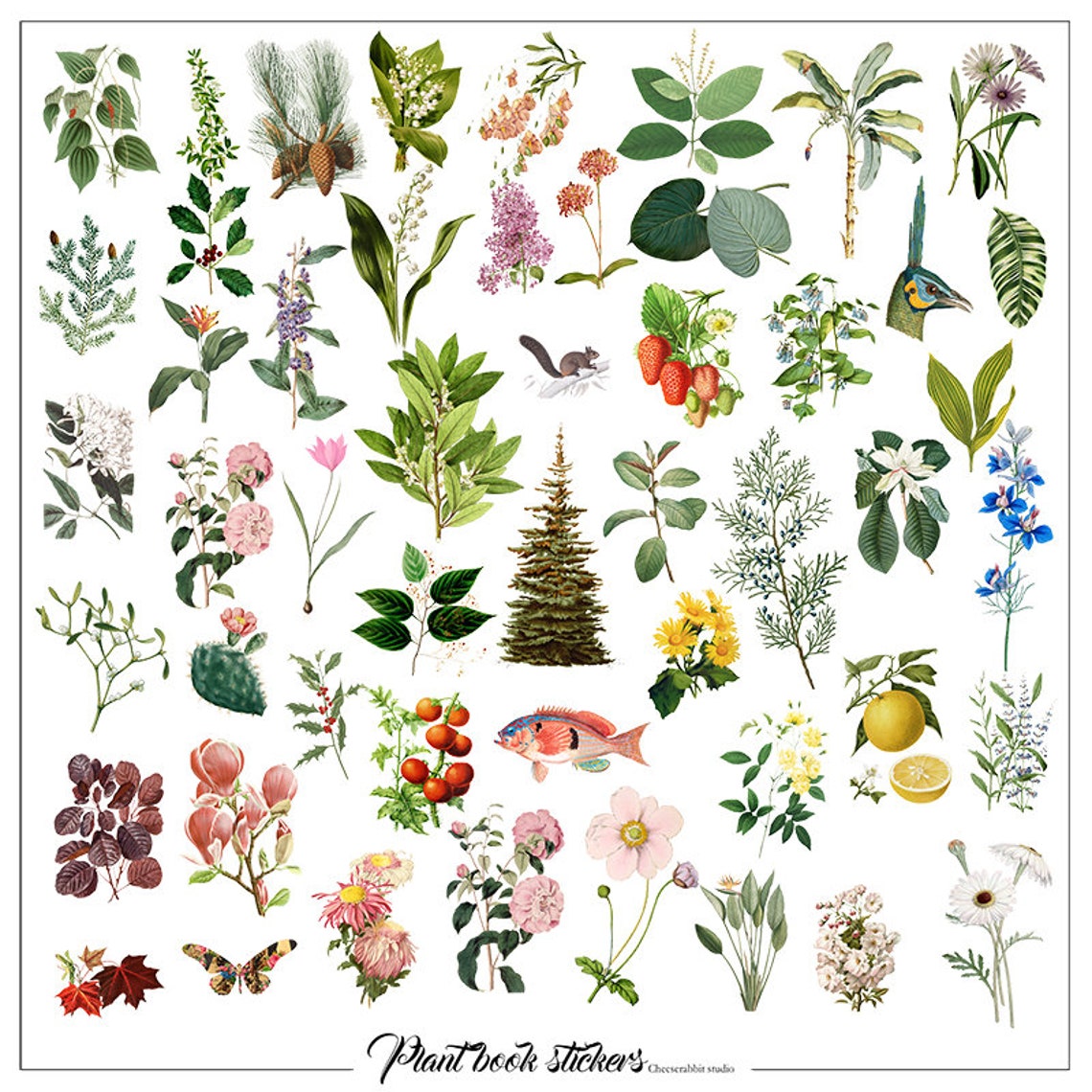 Vellum stickers 50pcs/Pack leaf plant and animal themed | Etsy