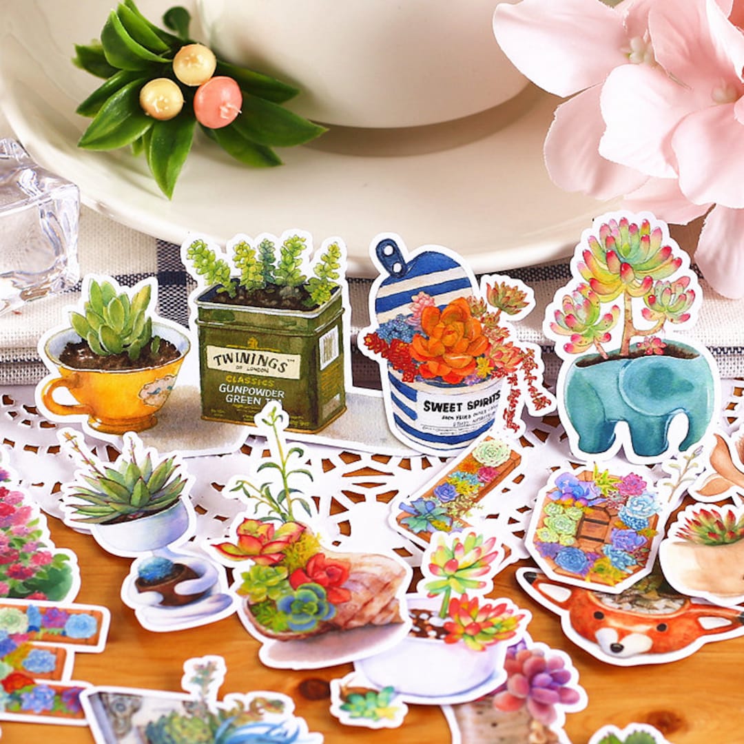 Plant Stickers | Succulent Plants Themed Decorative Stickers, Die Cut ...