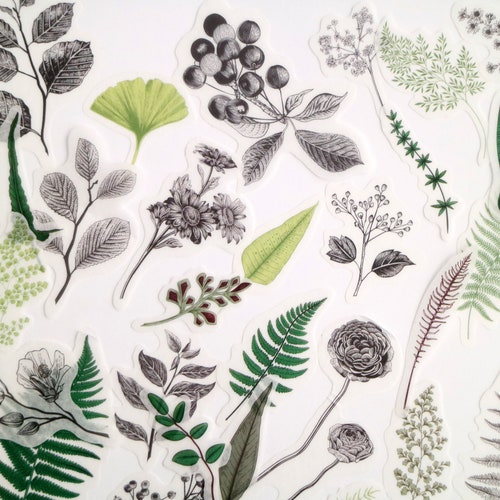 Plant Stickers 76pcs/pack Eucalyptus Plant Fern Leaf Branch | Etsy