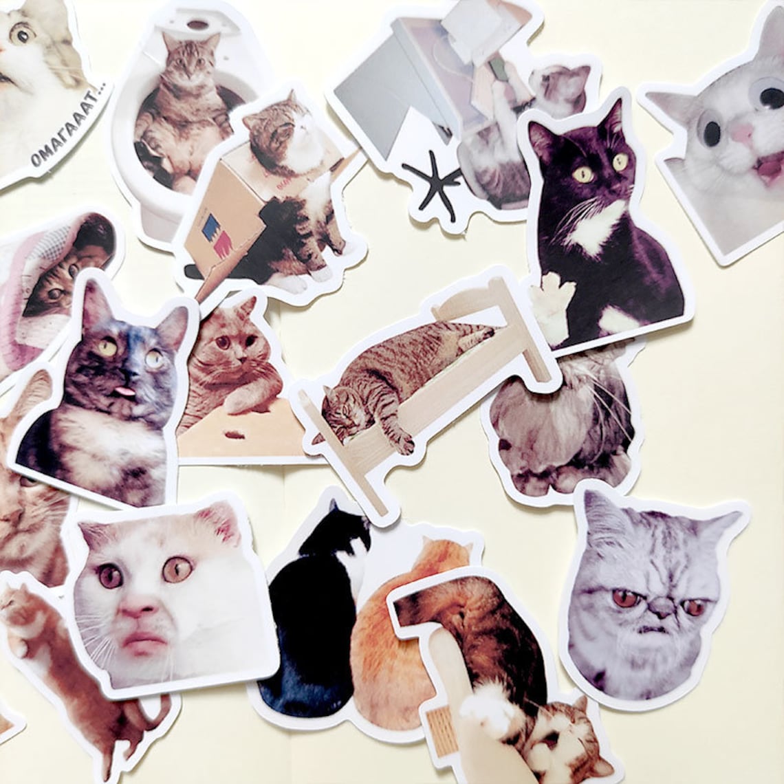 Cat Stickers Cute Funny Kitty Cat Themed Decorative | Etsy