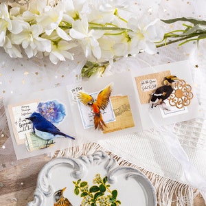 Bird PET Sticker ｜parrot Quill Bird Sparrow Nature Insect Themed PET ...