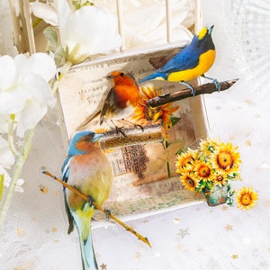 Bird PET Sticker ｜parrot Quill Bird Sparrow Nature Insect Themed PET ...