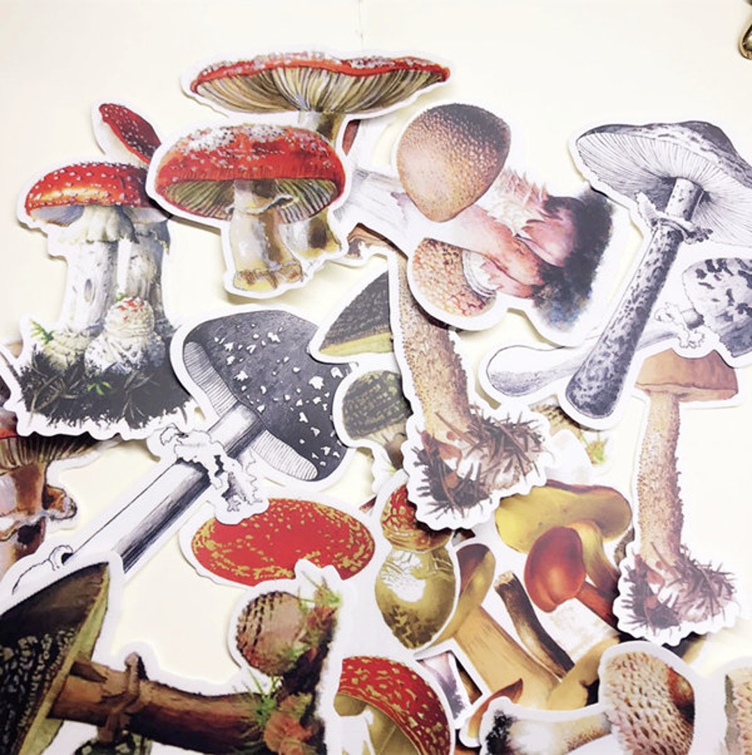 Mushroom Themed Stickers Decorative Stickers, Die Cut Stickers ...