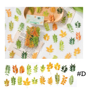 Autumn Leaves PET Sticker | Fall Foliage Fern Maple Leaves Ginkgo ...