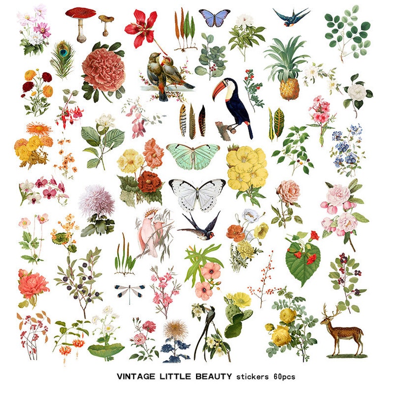 60pcs/pack Parchment Paper Texture Thin Stickers Pack Flower - Etsy