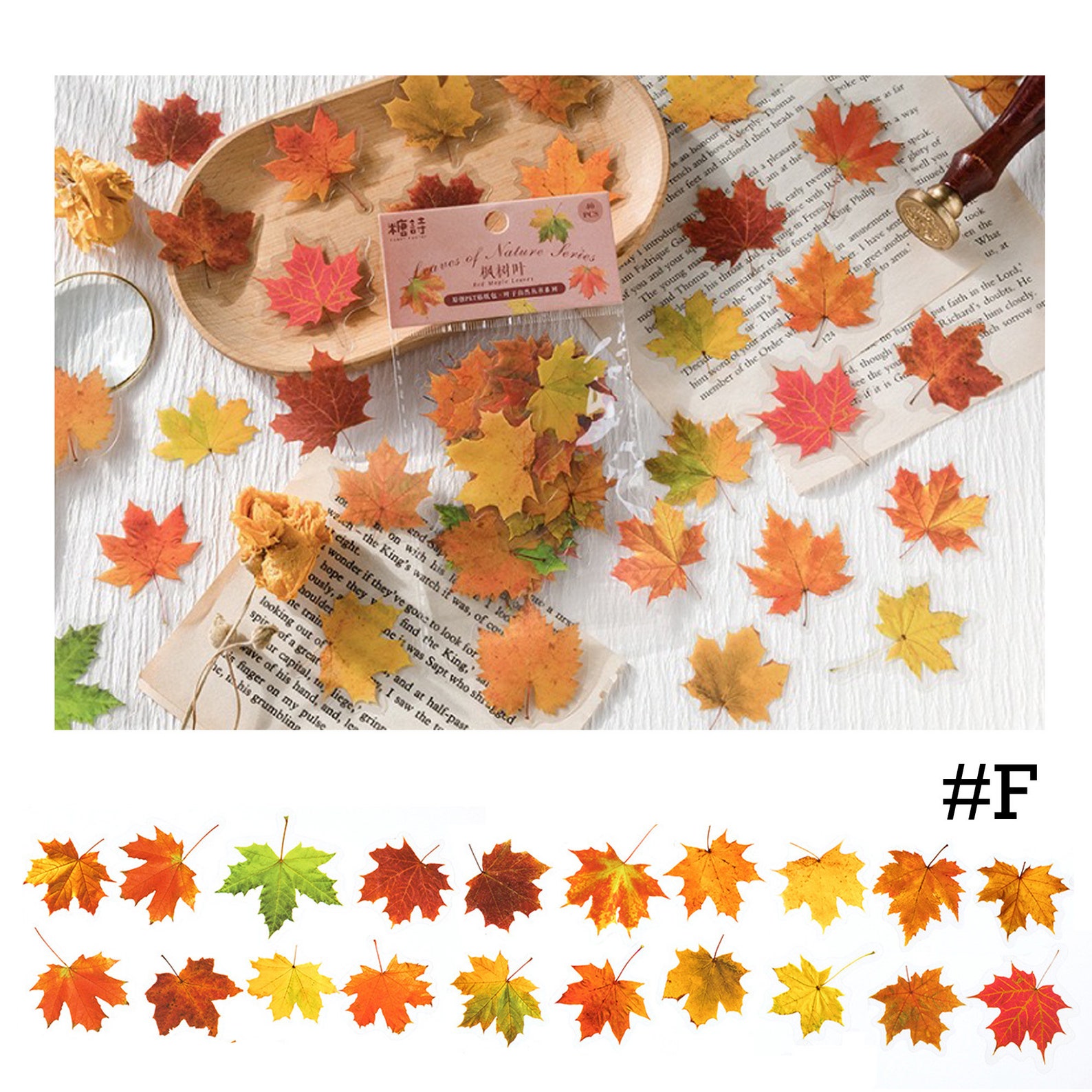 Autumn Leaves PET Sticker | Fall Foliage Fern Maple Leaves Ginkgo ...