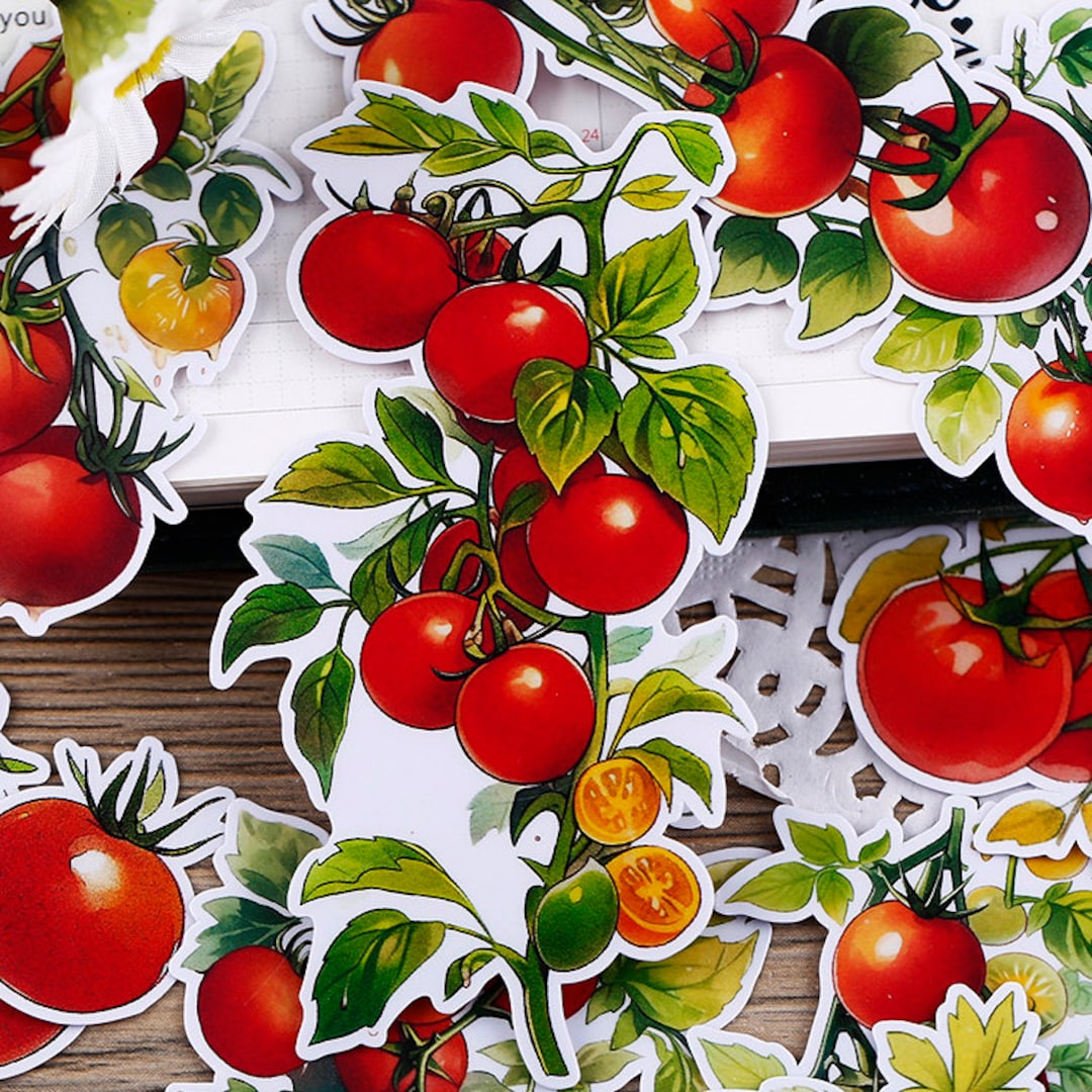 Tomato Watercolor Sticker | Vegetable Tomato Die Cut Stickers, ML05 - Etsy