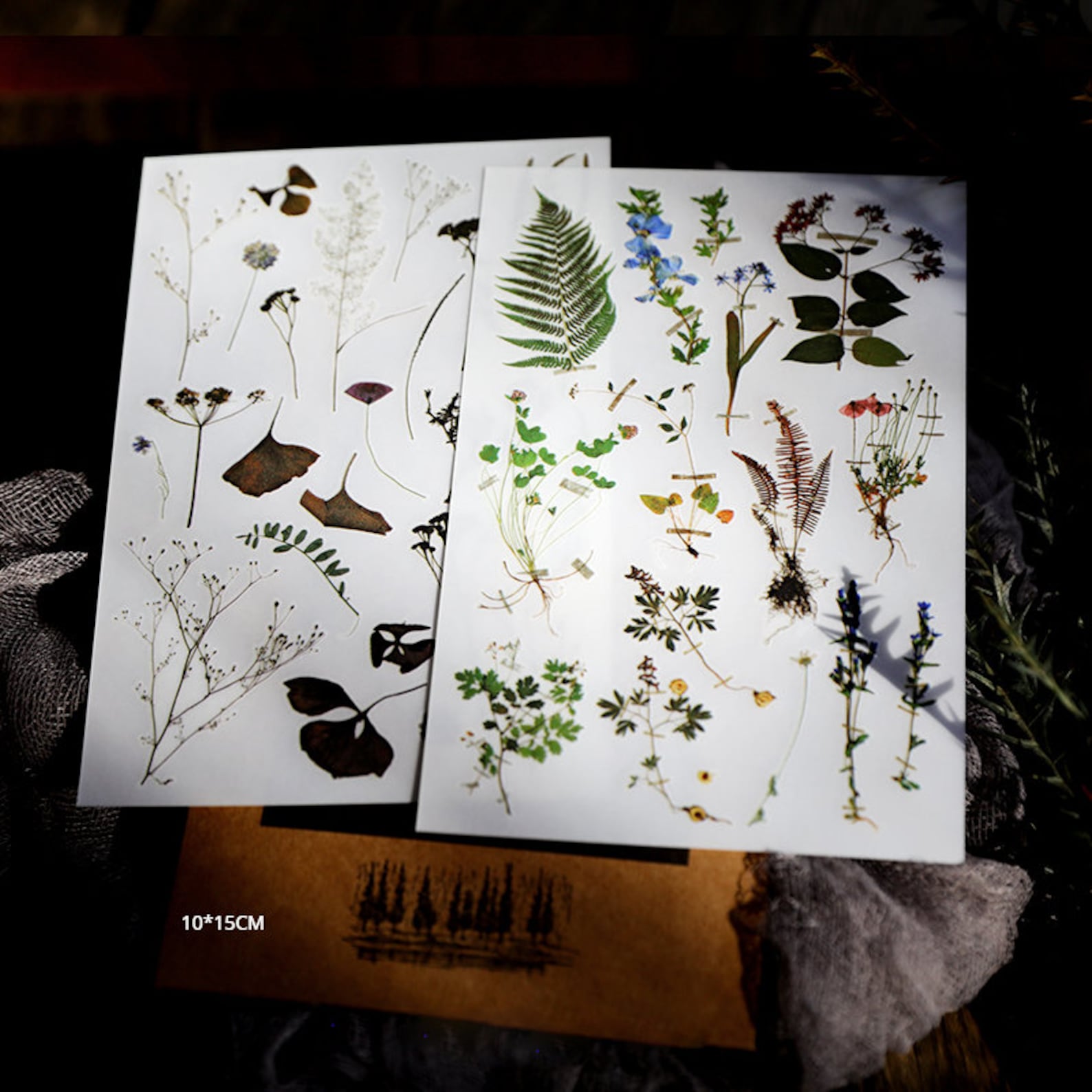 Rub-on Stickers 2 Sheets Watercolor Green Leaf Flower Floral - Etsy