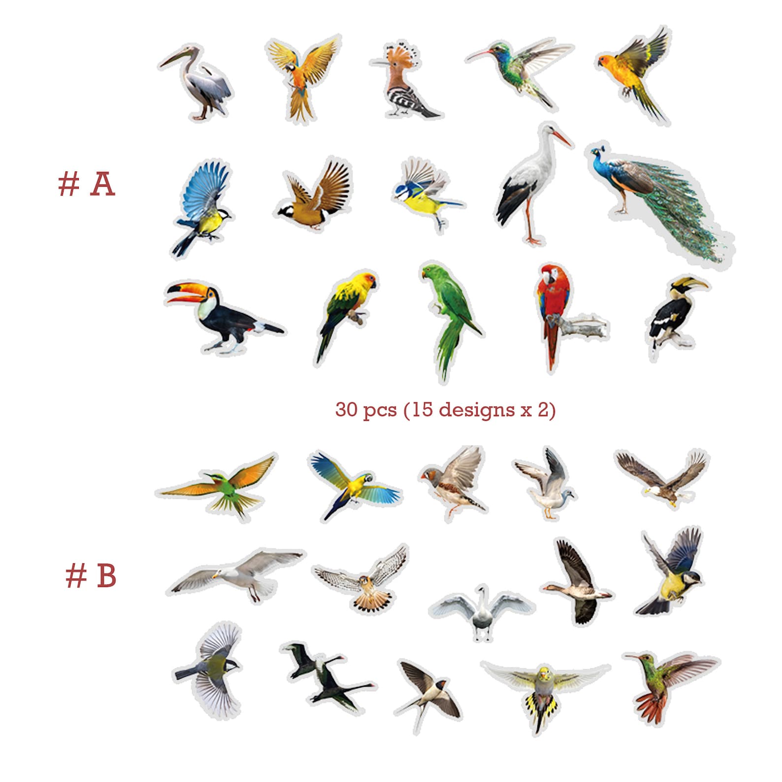 Bird PET Sticker ｜parrot Quill Bird Sparrow Nature Insect Themed PET ...