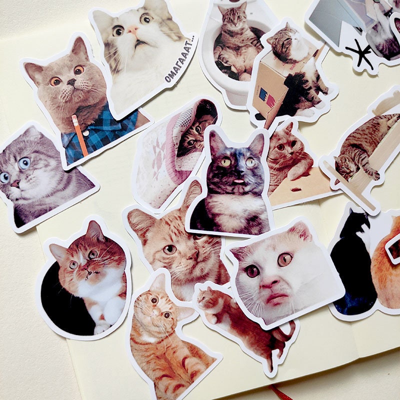 Cat Stickers Cute Funny Kitty Cat Themed Decorative | Etsy