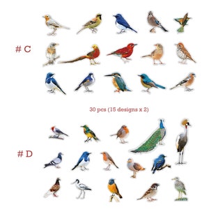 Bird PET Sticker ｜parrot Quill Bird Sparrow Nature Insect Themed PET ...