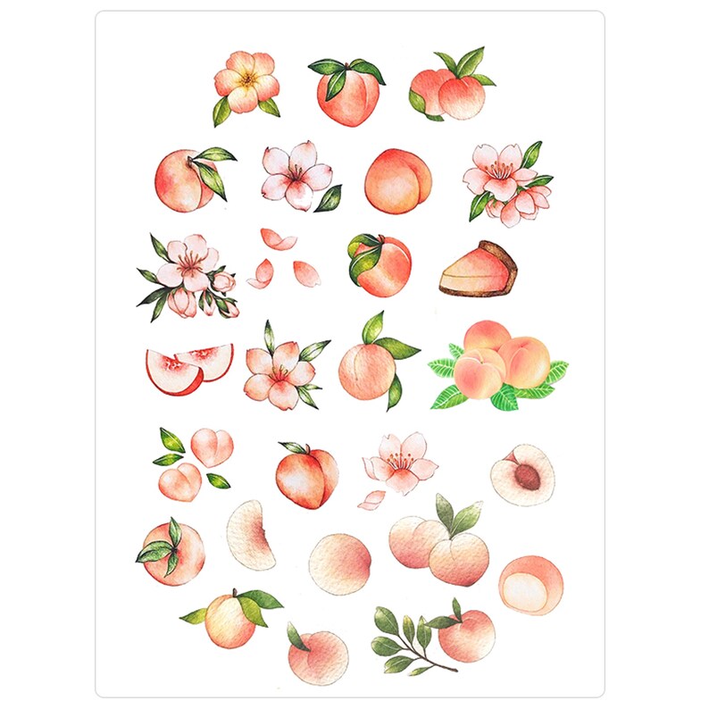 Peach Sticker | Fruit Pink Peaches Plant Sweet Juicy Summer Die Cut ...