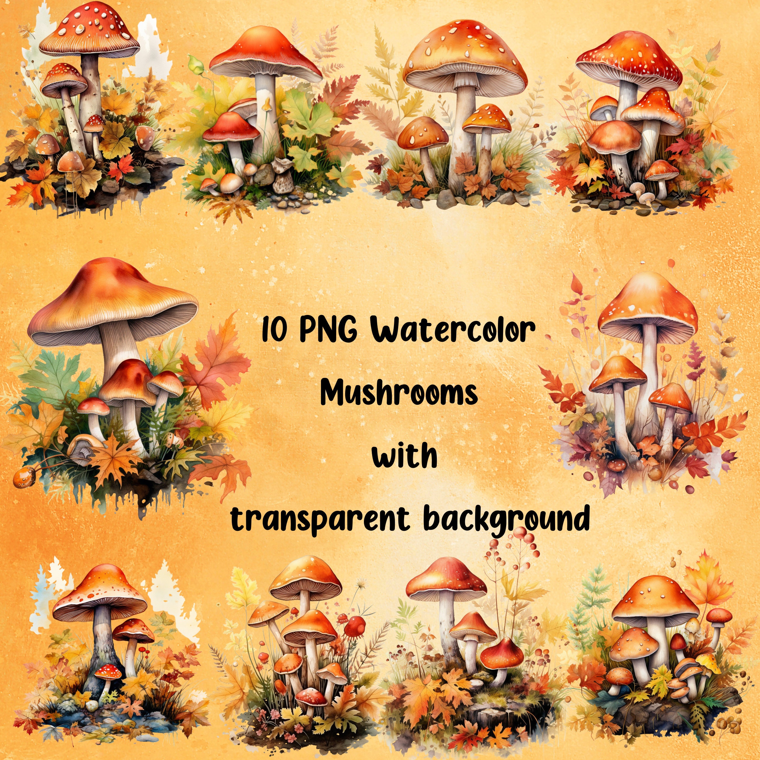 10 PNG Watercolor Mushrooms Clipart Transparent Background 2500x2500px ...
