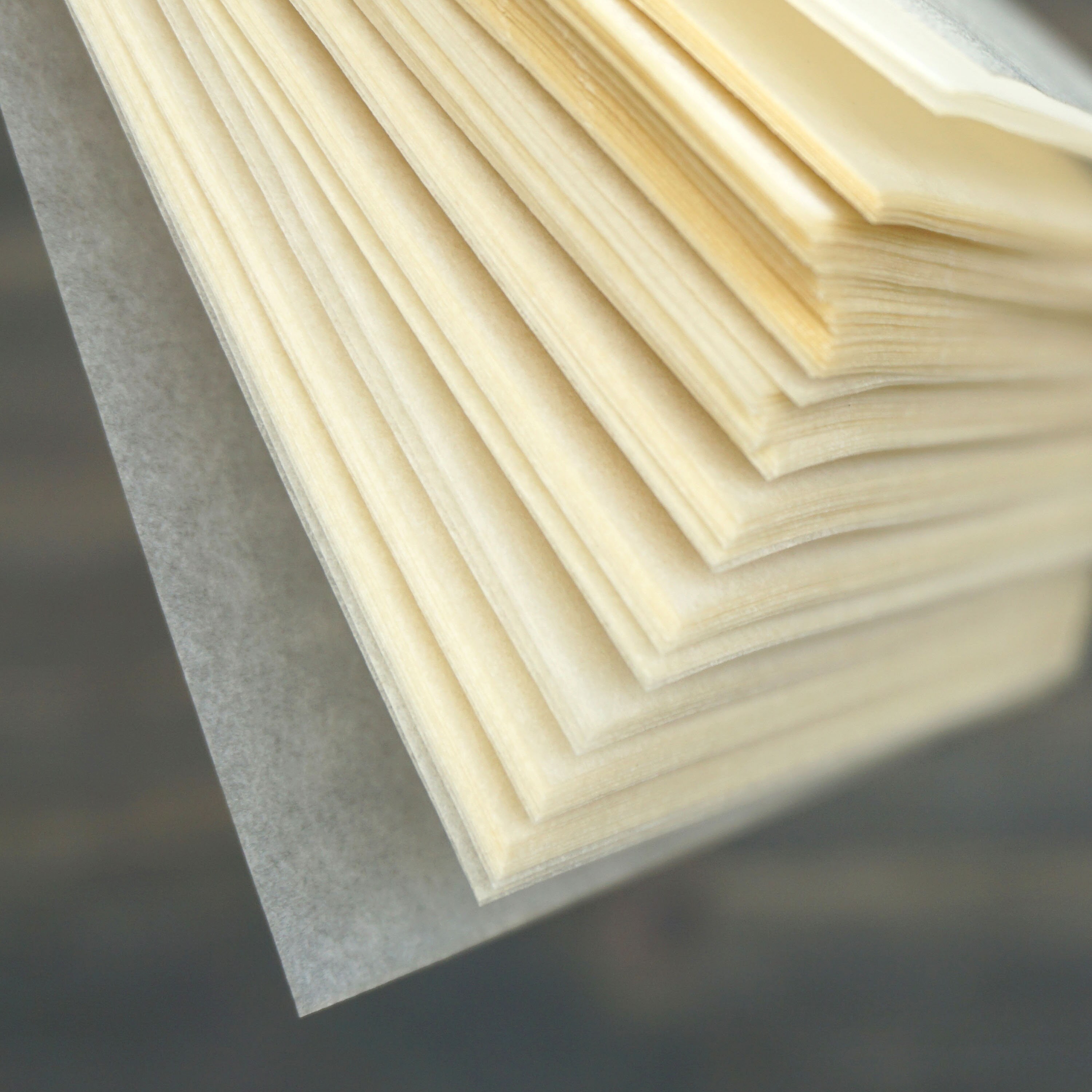 Vintage Aged Glassine Paper Sheets - Set of 10 | Invitation Insert ...