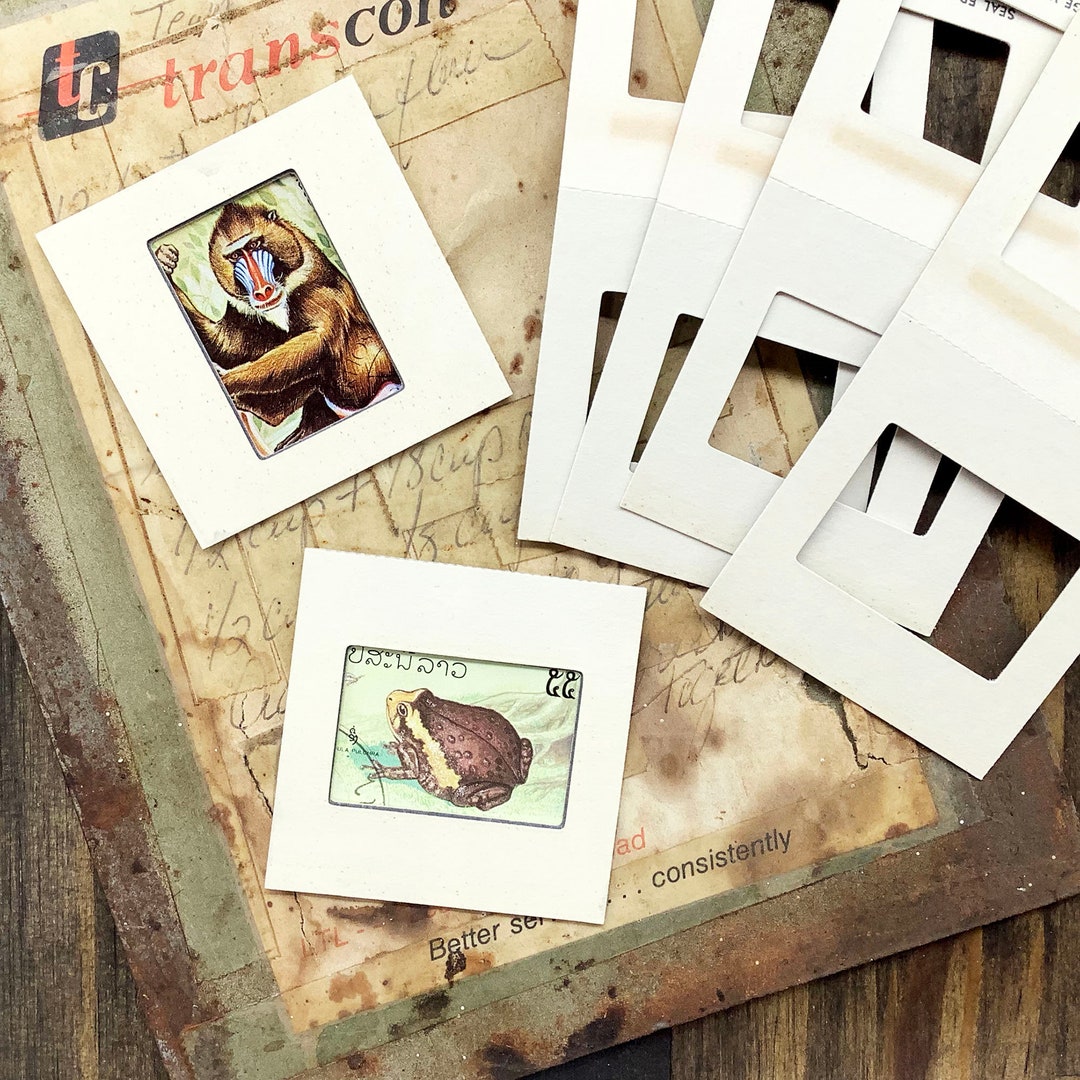 Vintage Slide Mounts | Set of 10 Small Frames | Cardboard Slide Mounts ...