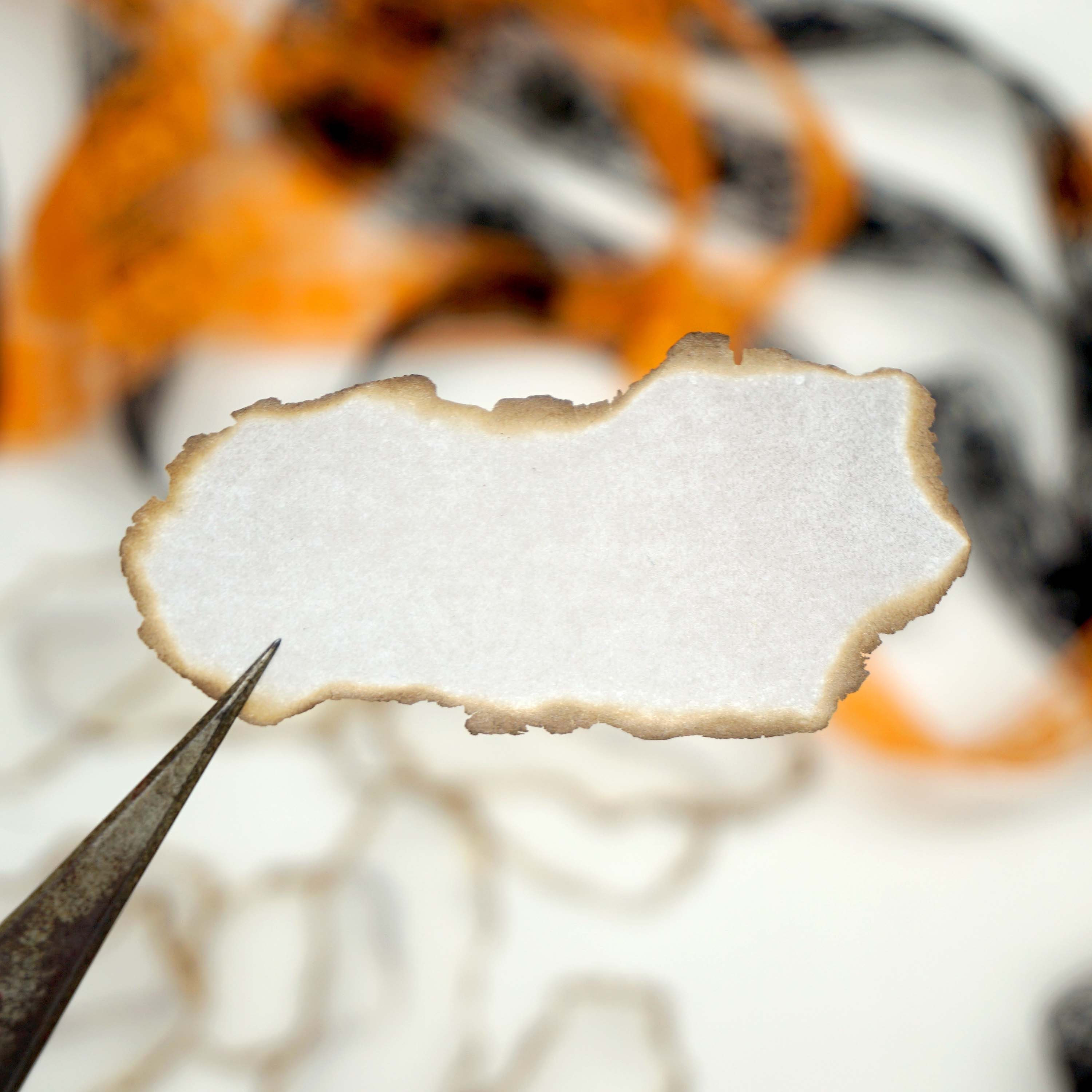 Burning Paper Edges Drawing