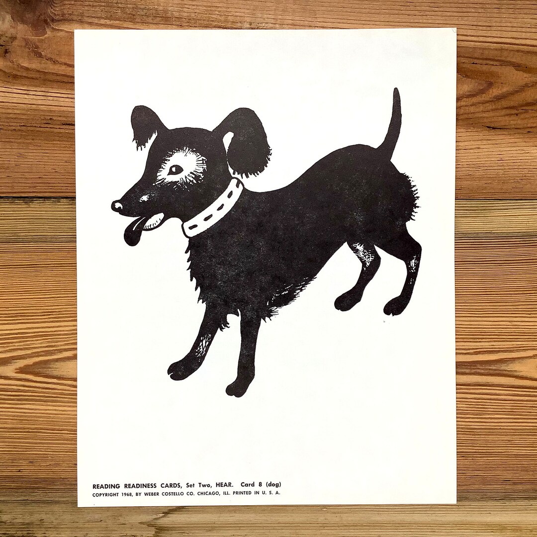 Large Vintage Dog Flash Card 1960s Flashcard for Room Decor Puppy ...