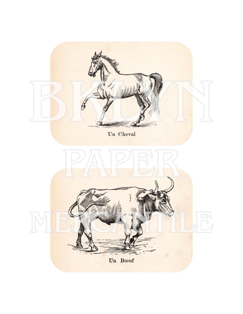 Antique Vintage FRENCH FLASHCARDS Digital Download | 25 Picture Word ...