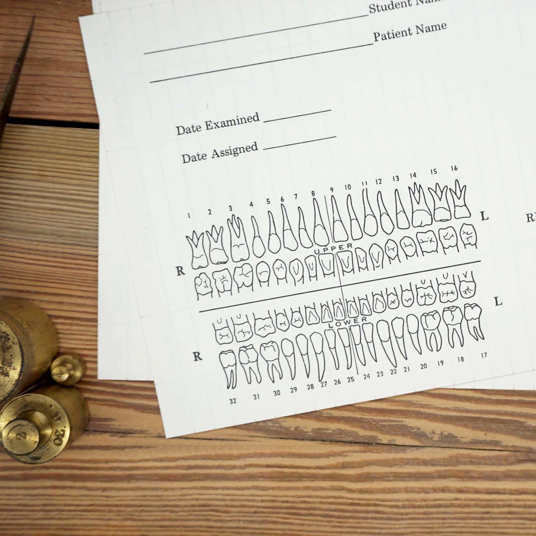 Vintage Dental Patient Examination Cards Set of 3 - Etsy