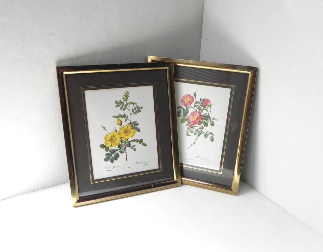 A Pair of 1980s Gold Framed Rose Prints - Etsy