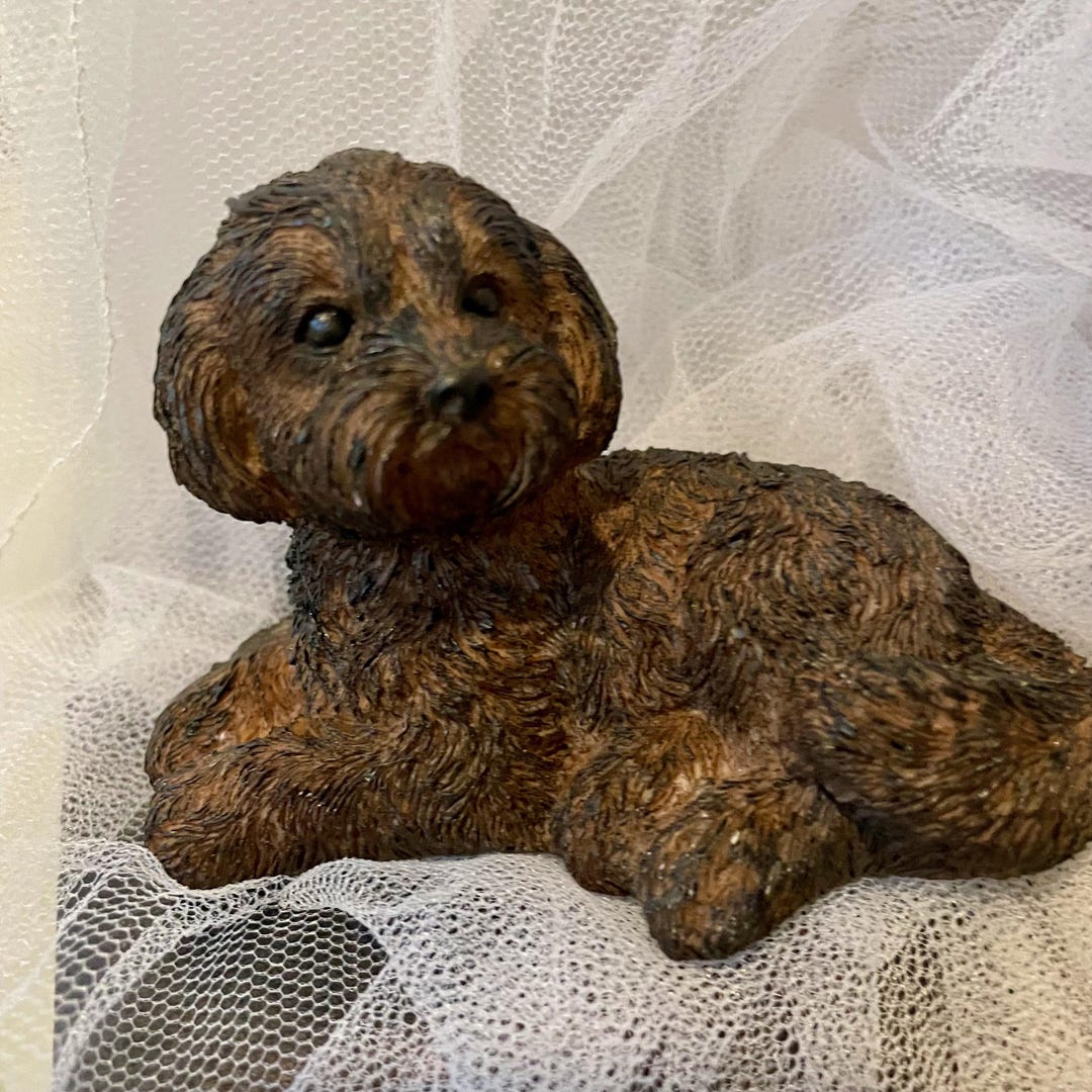 Adorable Lying Cockapoo Puppy - Etsy