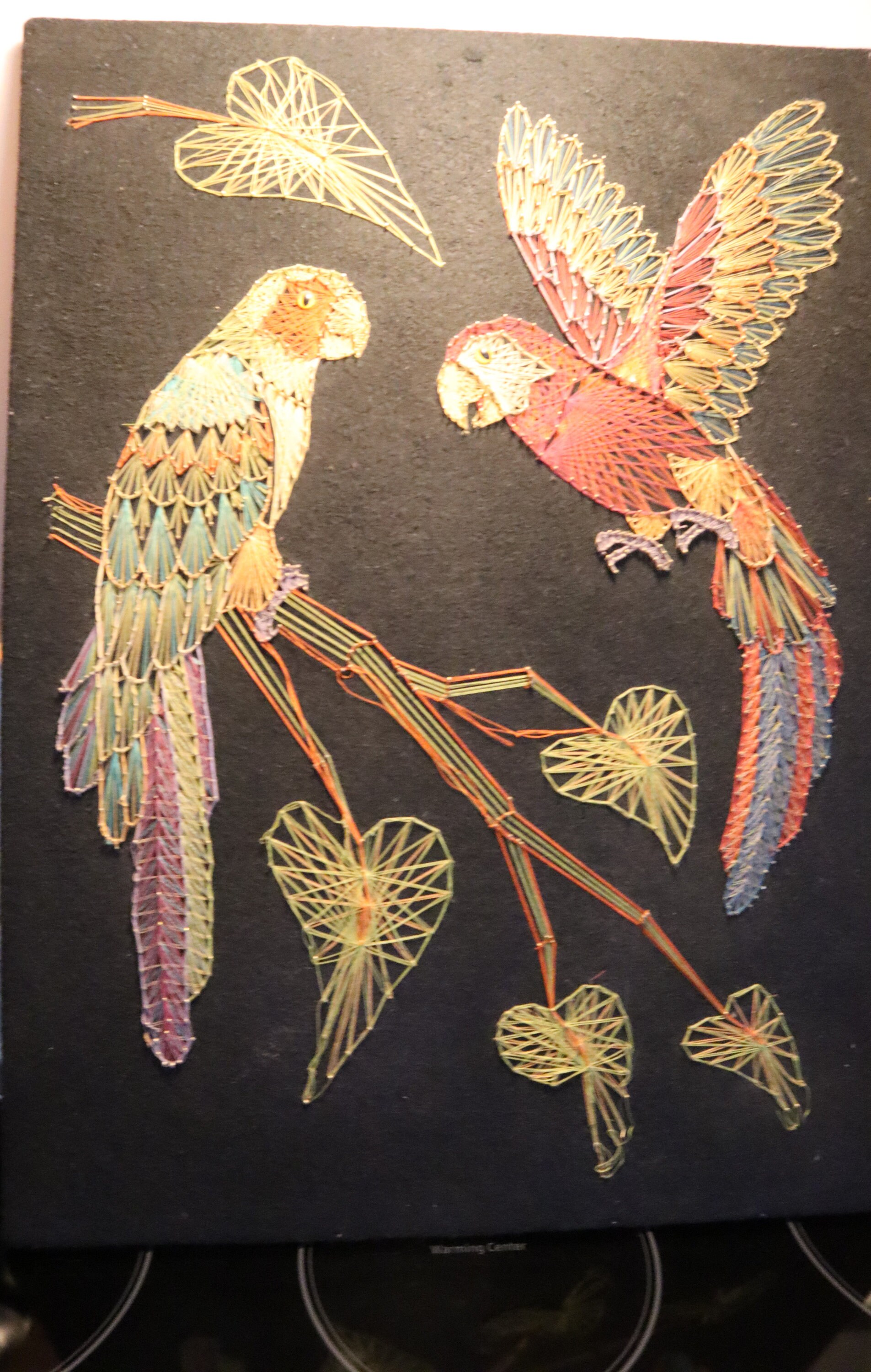 Vintage String Art Colourful Parrots Dark Brown Cloth on Wood - Etsy