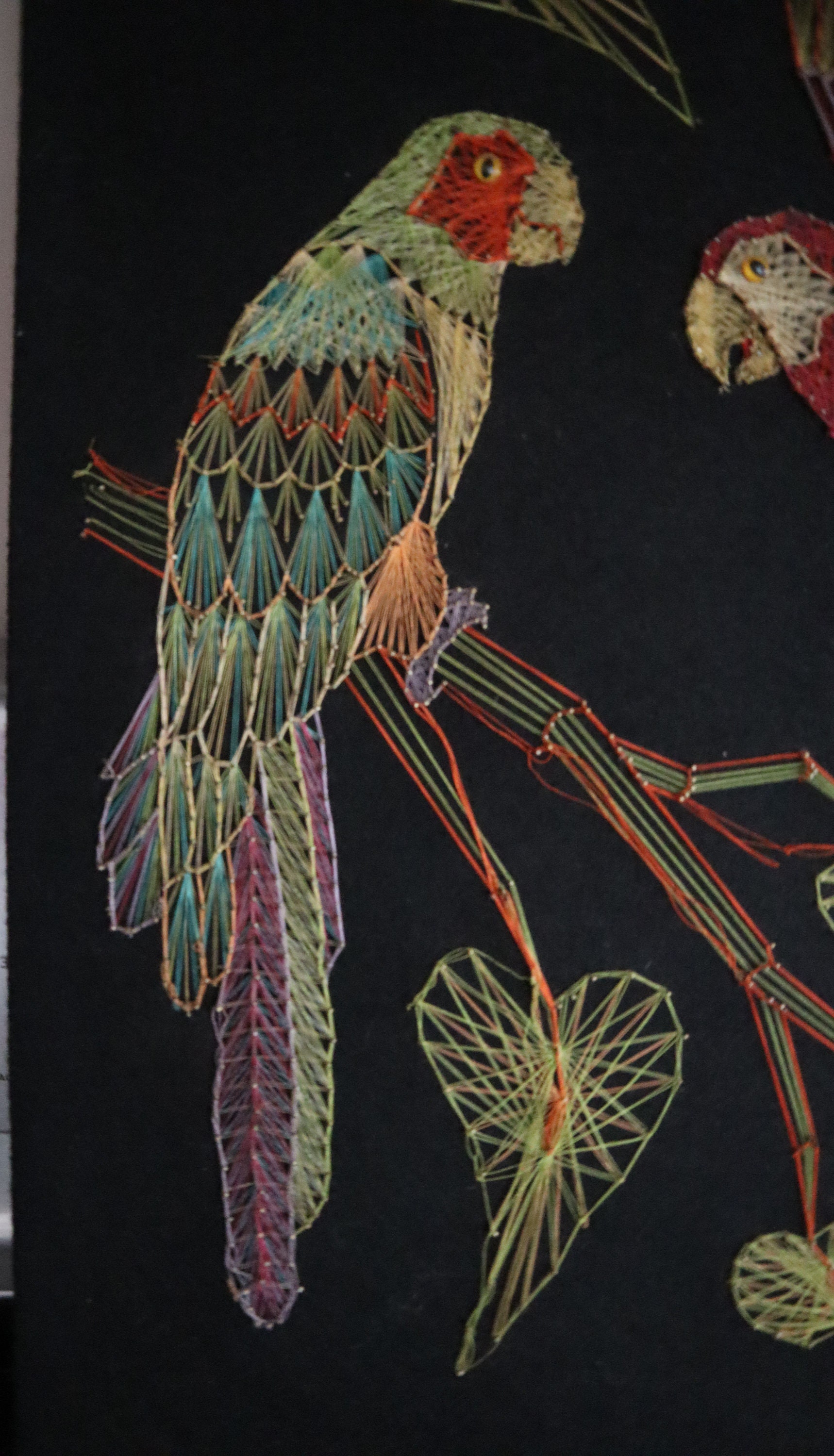 Vintage String Art Colourful Parrots Dark Brown Cloth on Wood - Etsy