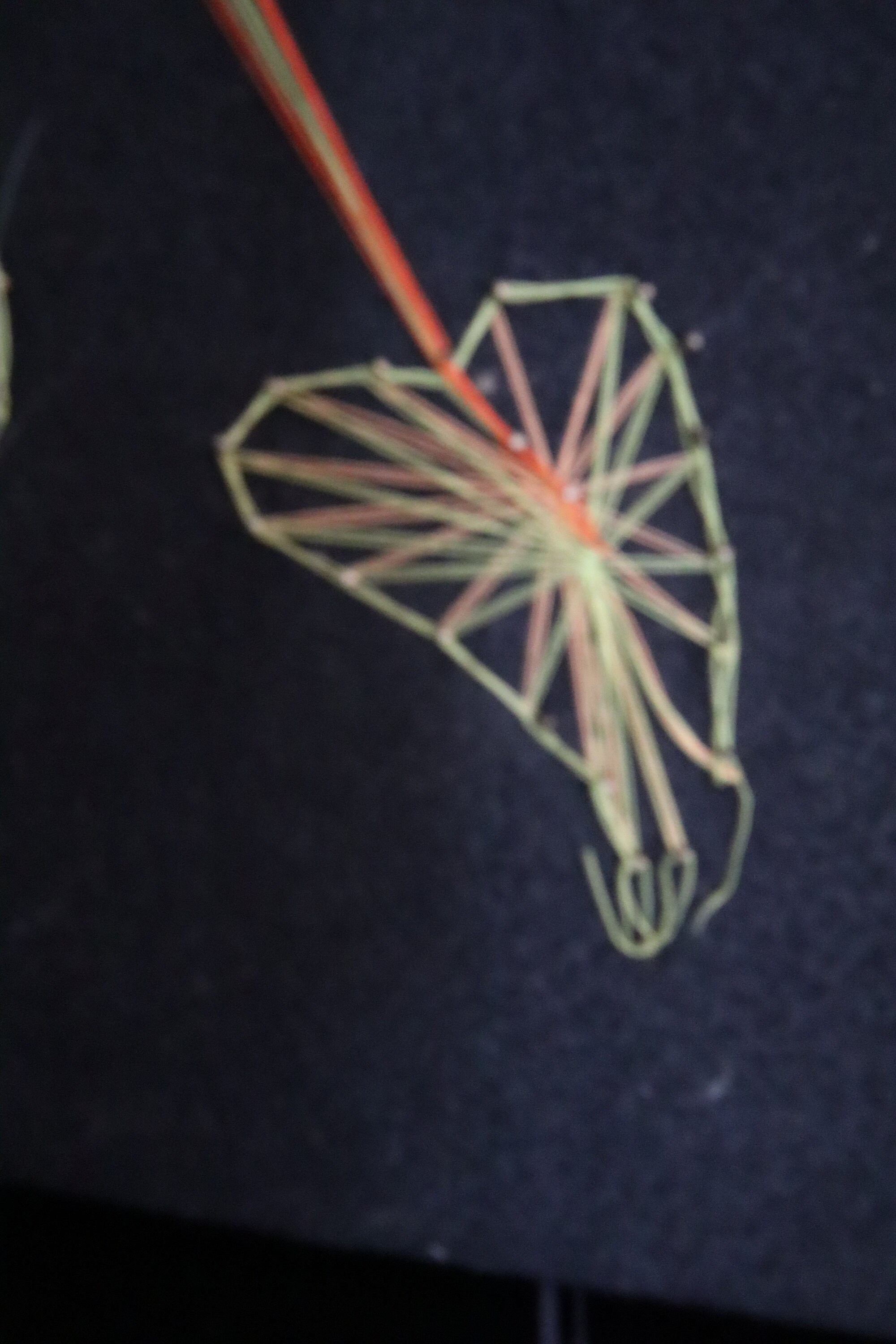 Vintage String Art Colourful Parrots Dark Brown Cloth on Wood - Etsy