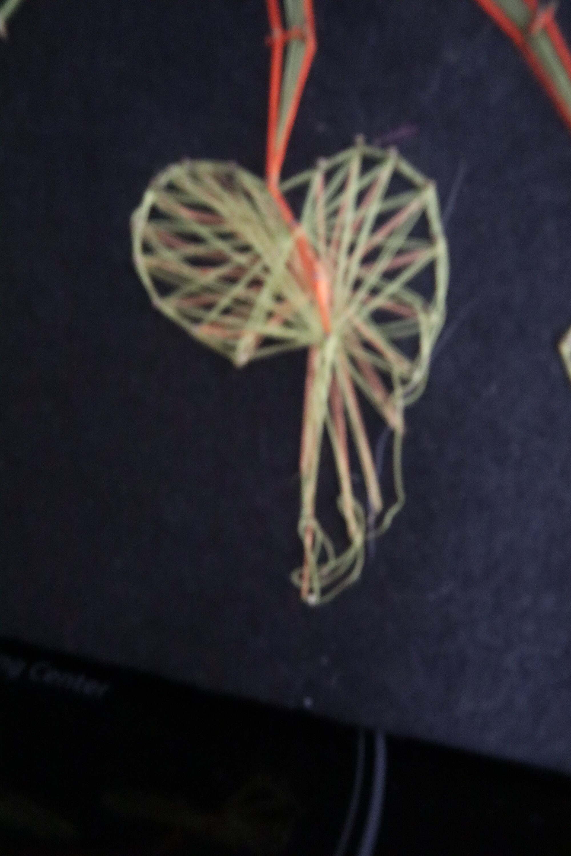 Vintage String Art Colourful Parrots Dark Brown Cloth on Wood - Etsy