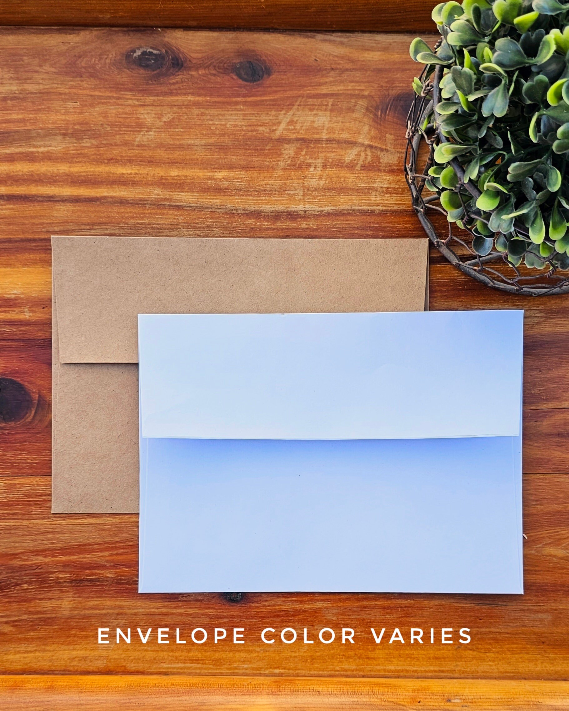 Mustang Card | Bifold Blank Inside Card | 5x7 With Envelope Any ...