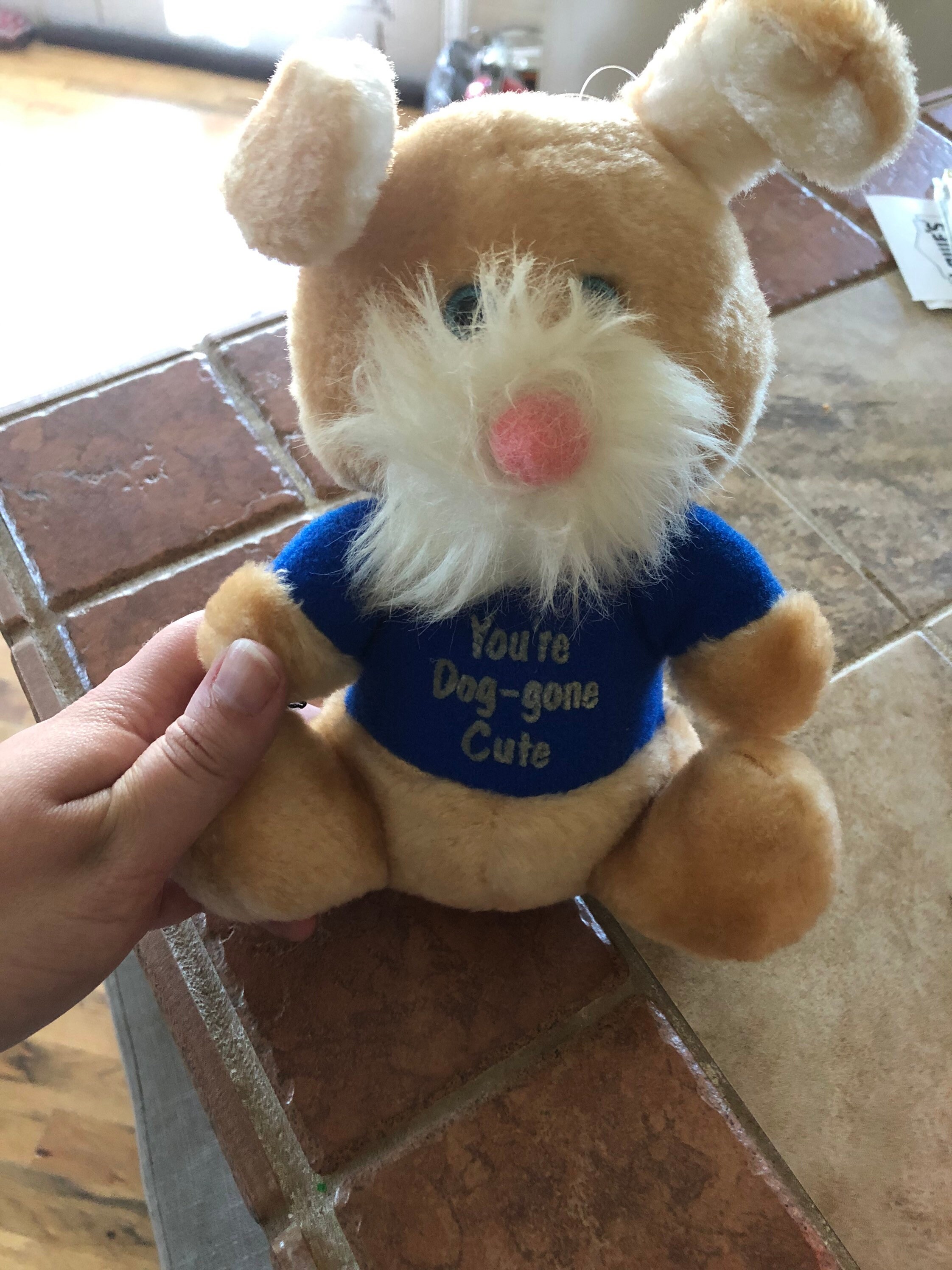 Toys Vintage Russ Berrie Dog \u201cYou\u2019re dog-gone cute\u201d Toys ...