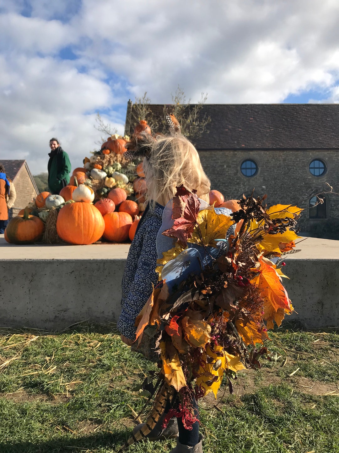 Autumn Fairy Wings - Etsy