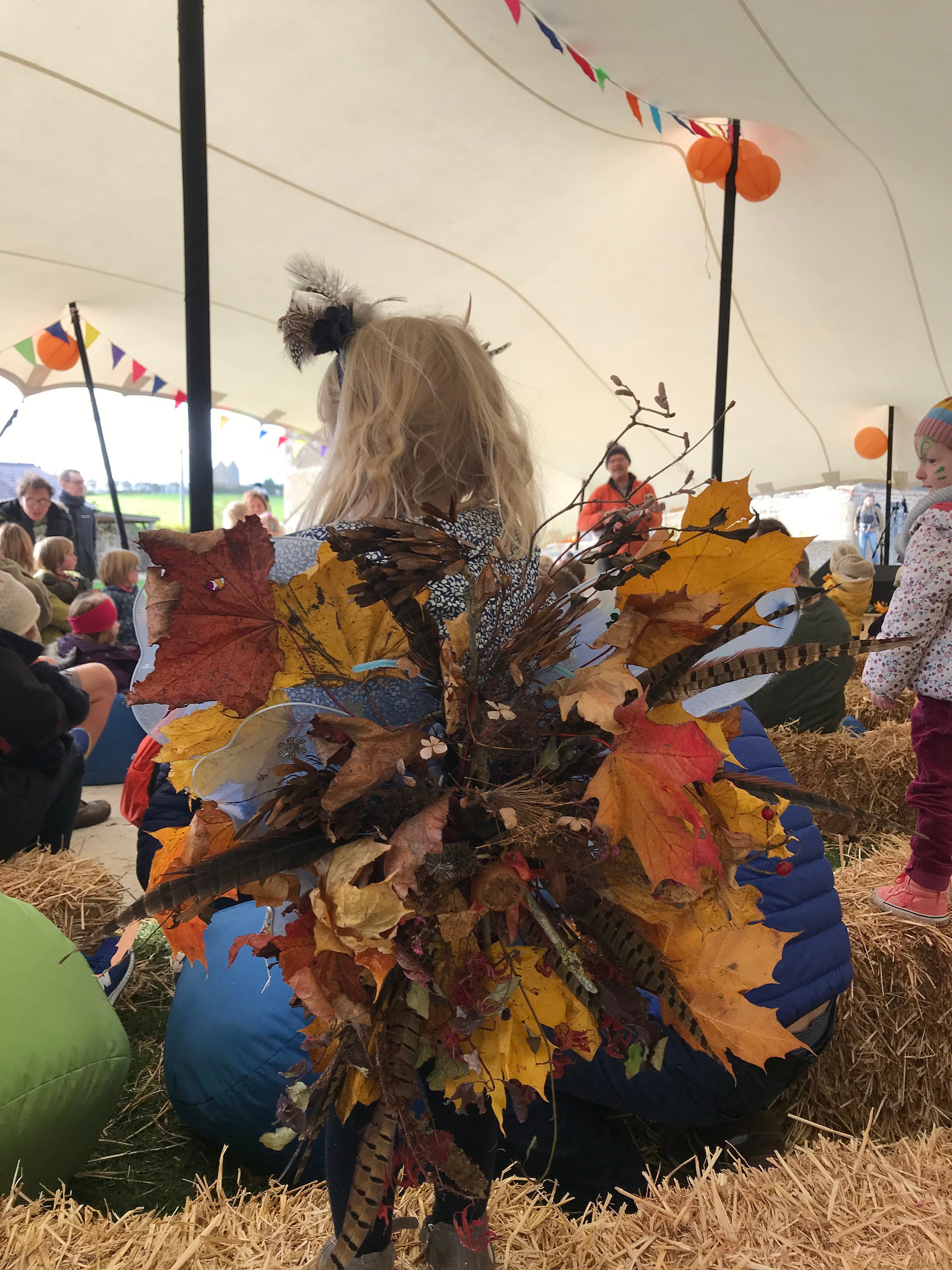 Autumn Fairy Wings - Etsy