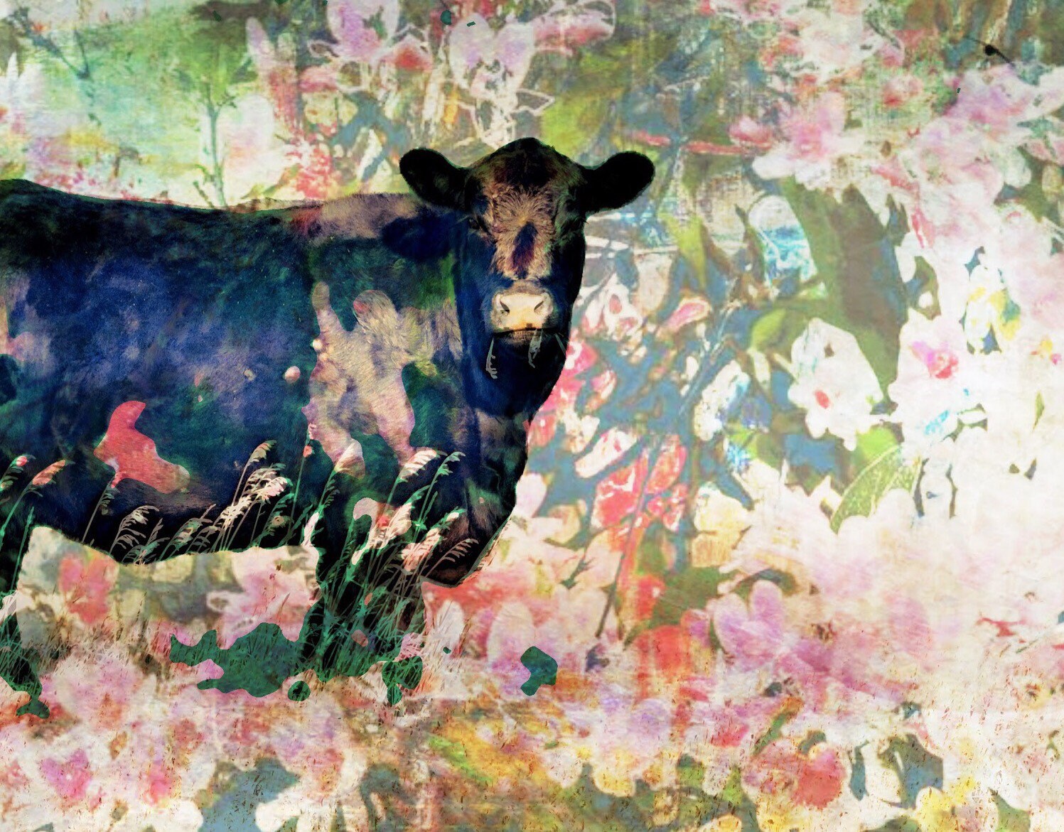 Cow Abstract - Etsy