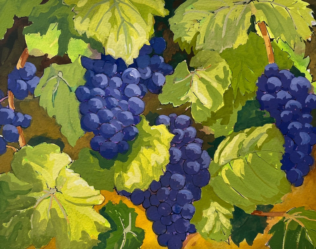 Grapes Ready for Harvest - Etsy