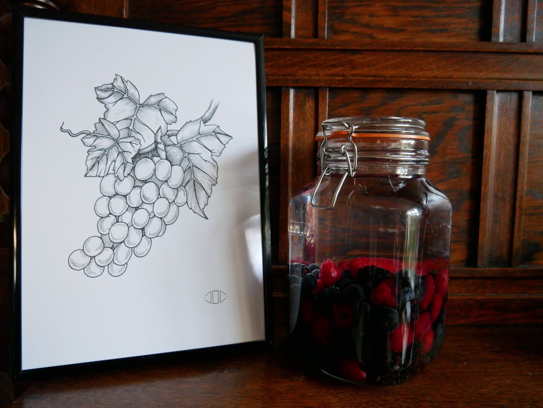 Vine A4 Print - Etsy