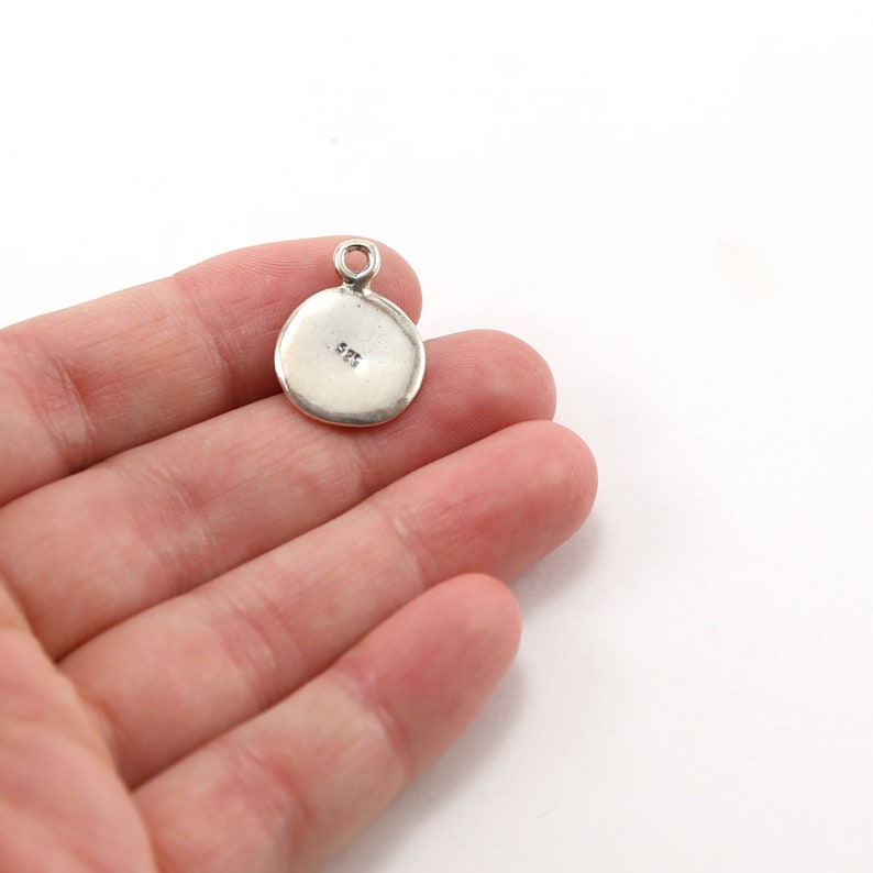 Sterling Silver Dragonfly Raised Coin Charm Insect Nature Spring ...