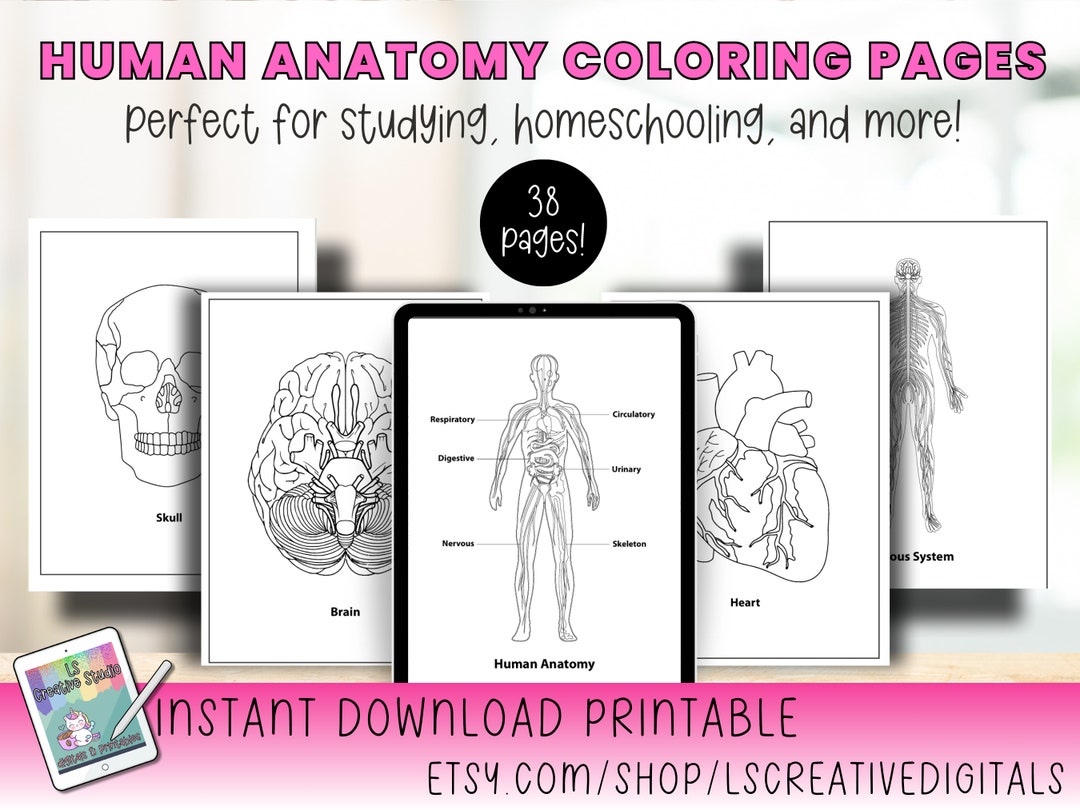 Human Anatomy Coloring Pages | Body Science Worksheet | Med School ...