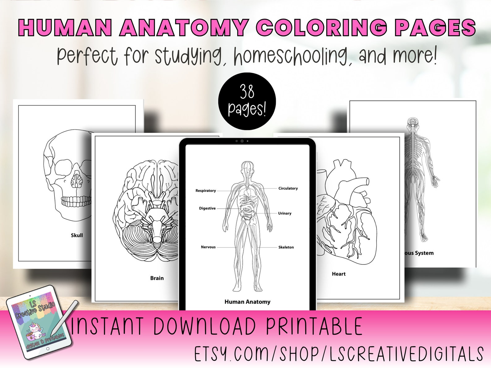Human Anatomy Coloring Pages Body Science Worksheet Med School Activity ...