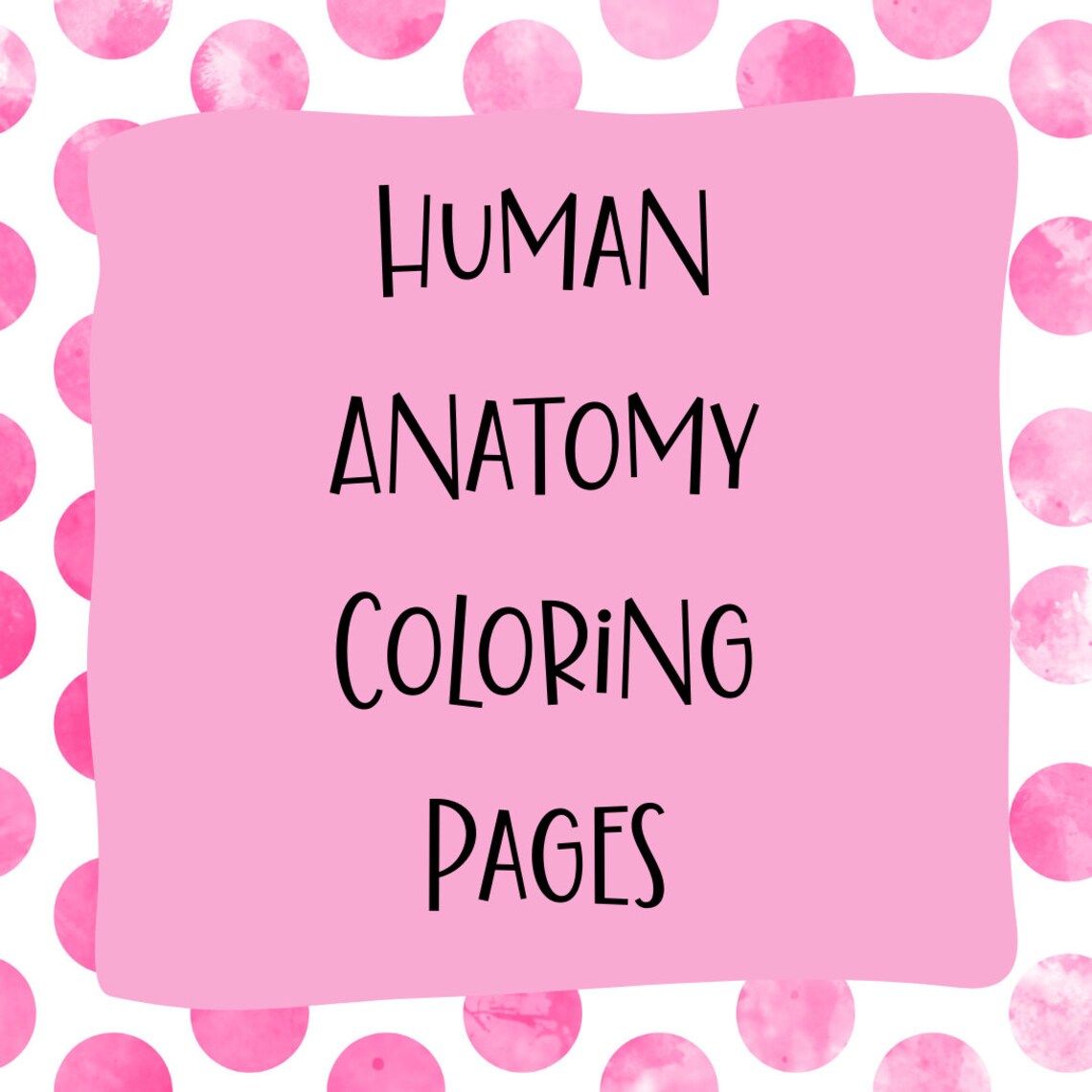 Human Anatomy Coloring Pages Body Science Worksheet Med - Etsy