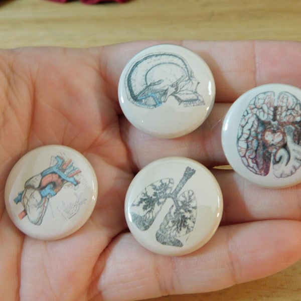 Enamel Pins Anatomy - Etsy