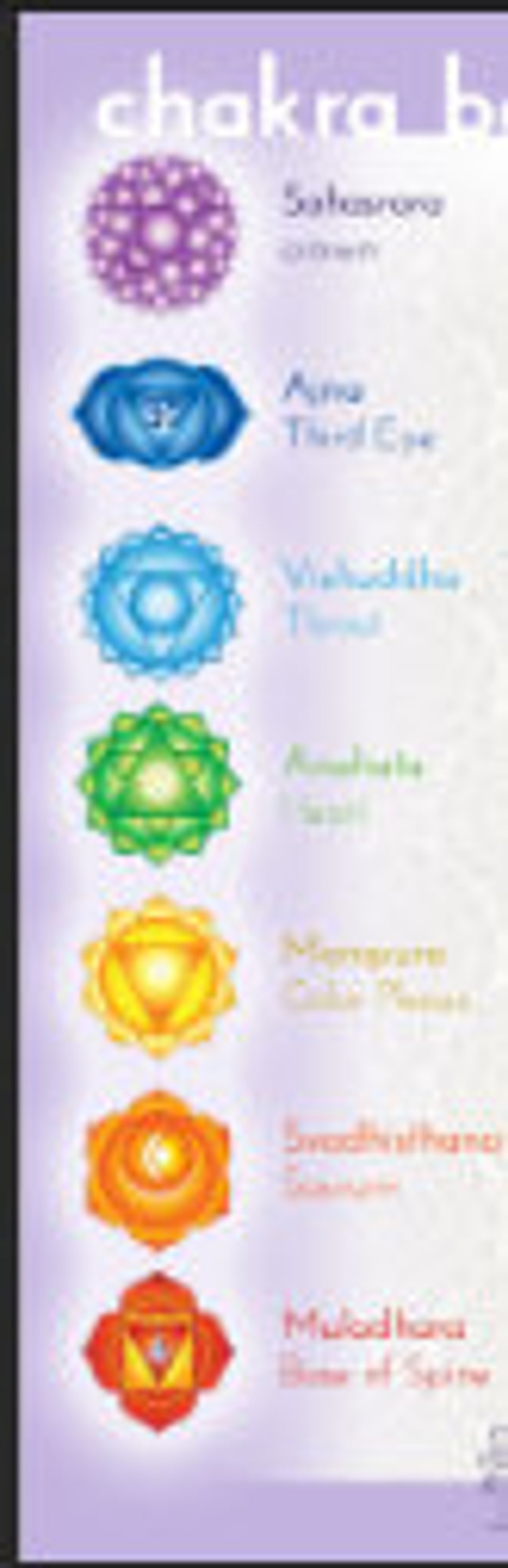 7 Chakra Herb Powder - Etsy