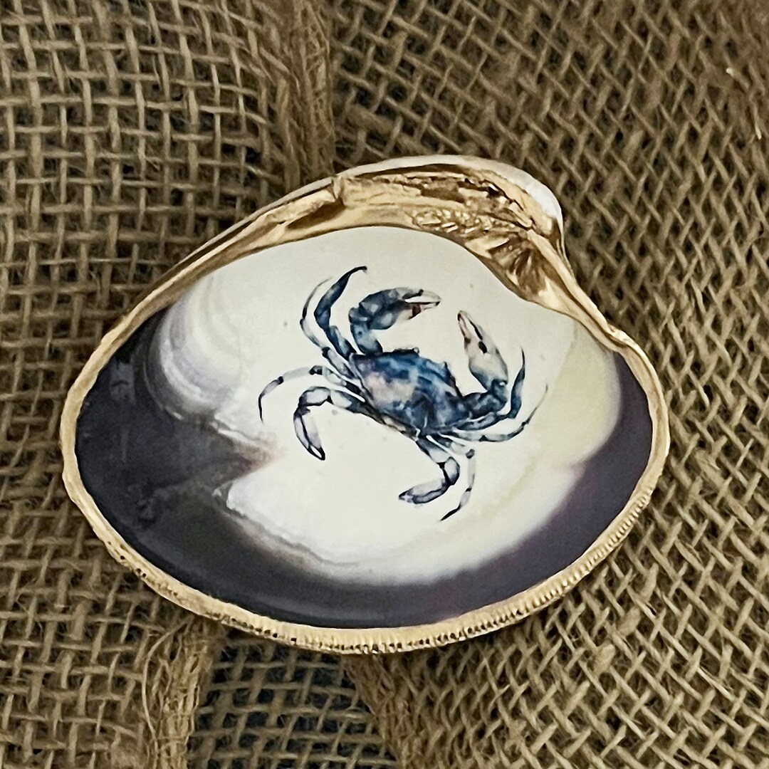 Blue Crab Trinket Dish. Quahog Shell. Wampum Clam Shells. Purple Shells ...