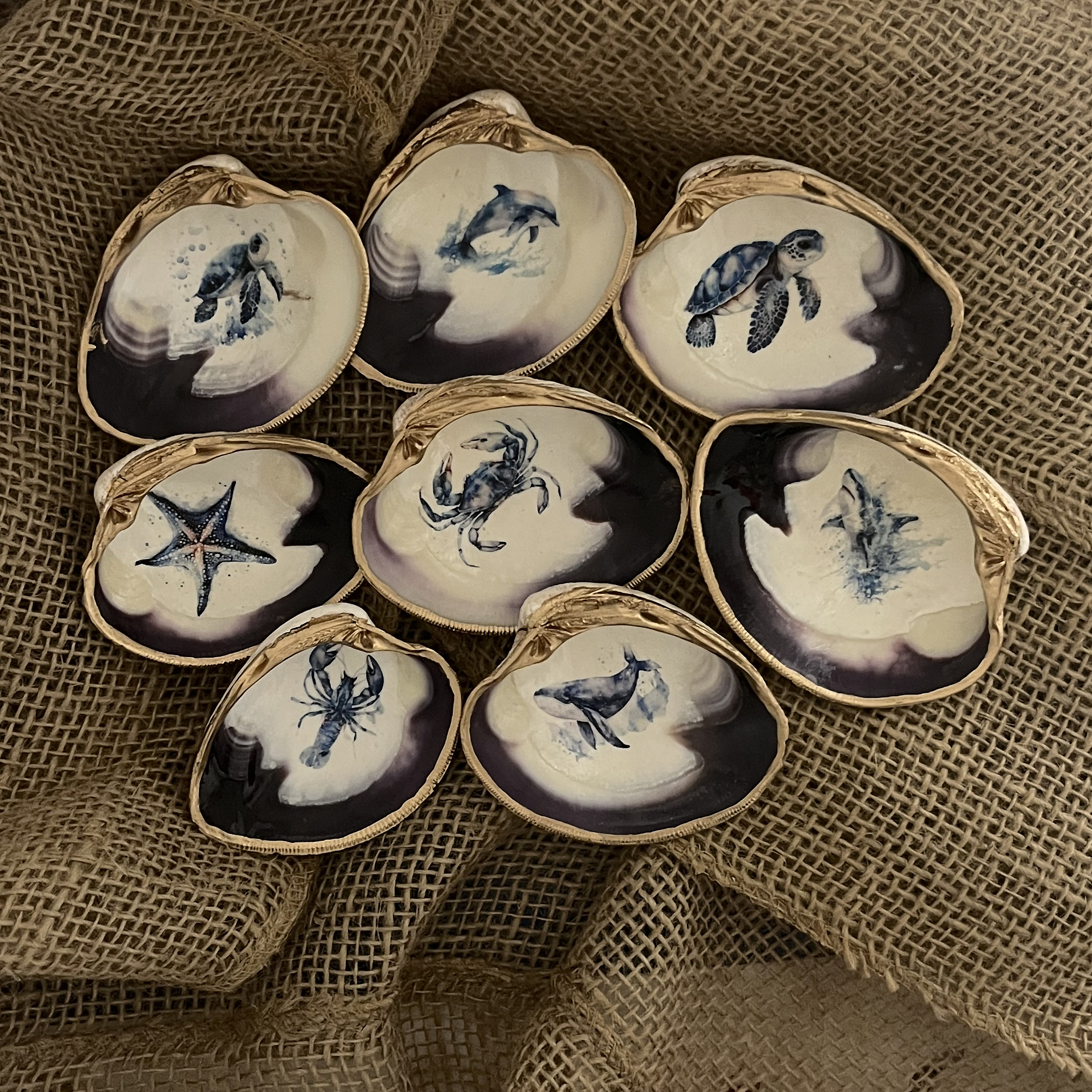 Blue Crab Trinket Dish. Quahog Shell. Wampum Clam Shells. Purple Shells ...