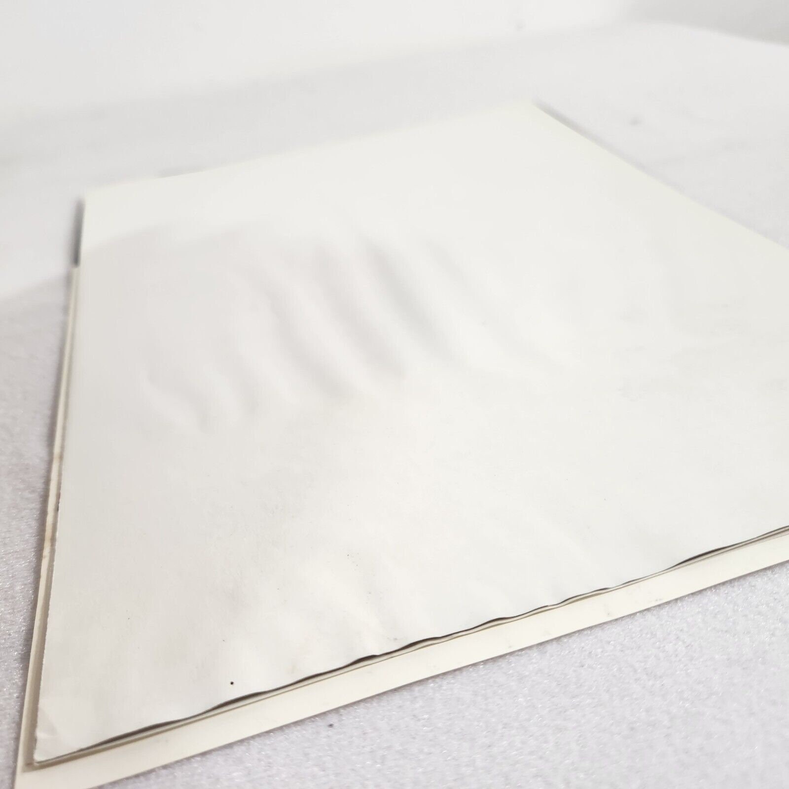 1990 Orion Home Video 25x38 Movie Poster Package: Zapped Again W/kelli ...