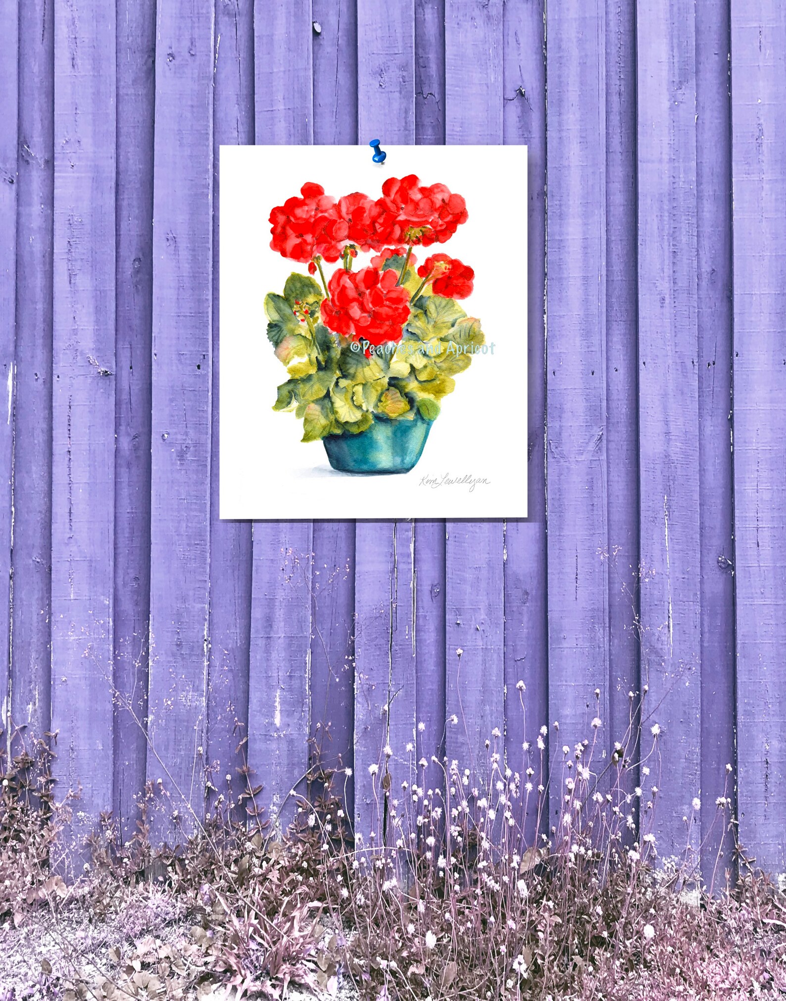 Pot of Geraniums Print - Etsy
