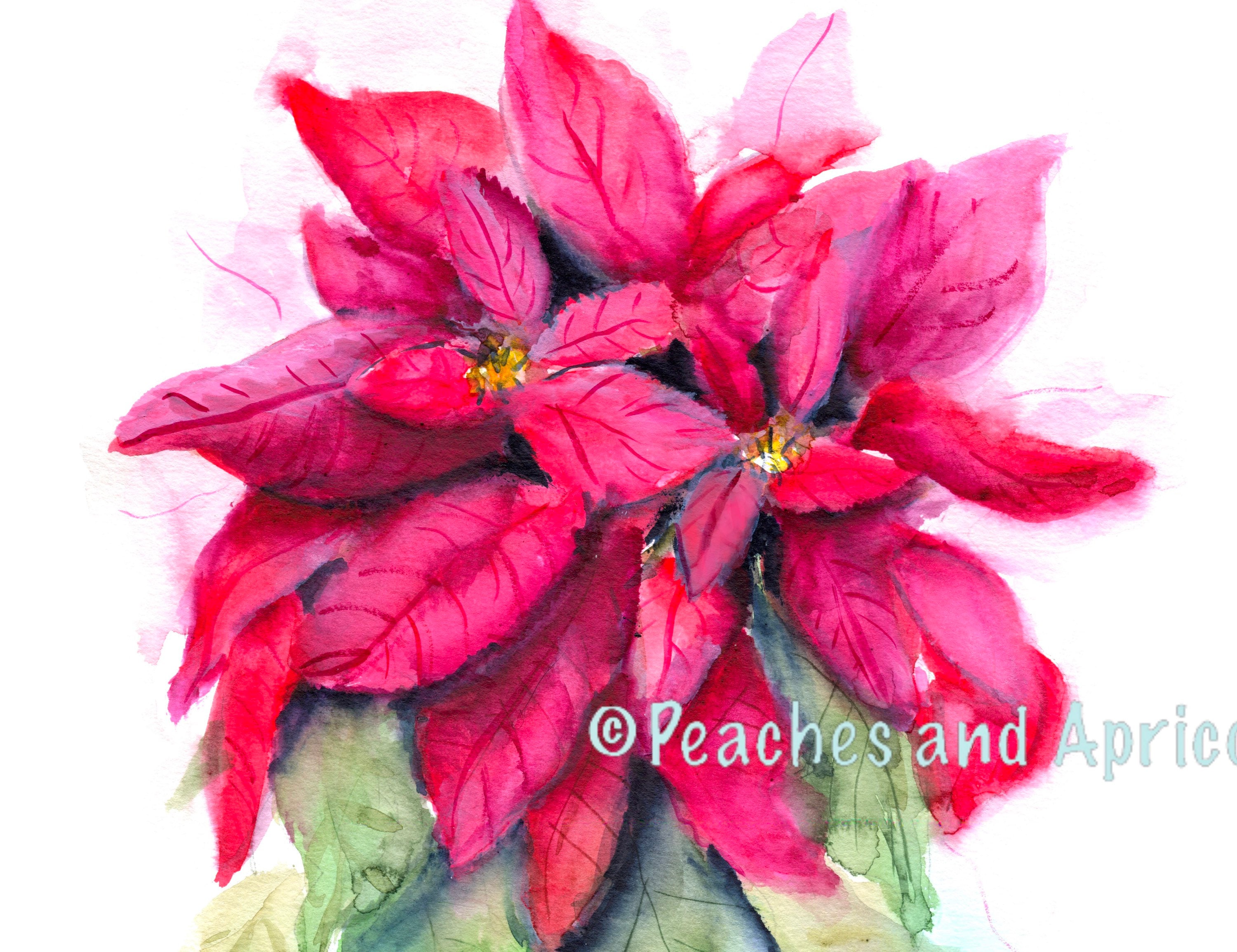 Poinsettia, Poinsettia Art, Poinsettia Decoration, Christmas Poinsettia ...