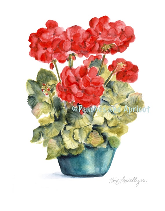 Pot of Geraniums Print - Etsy