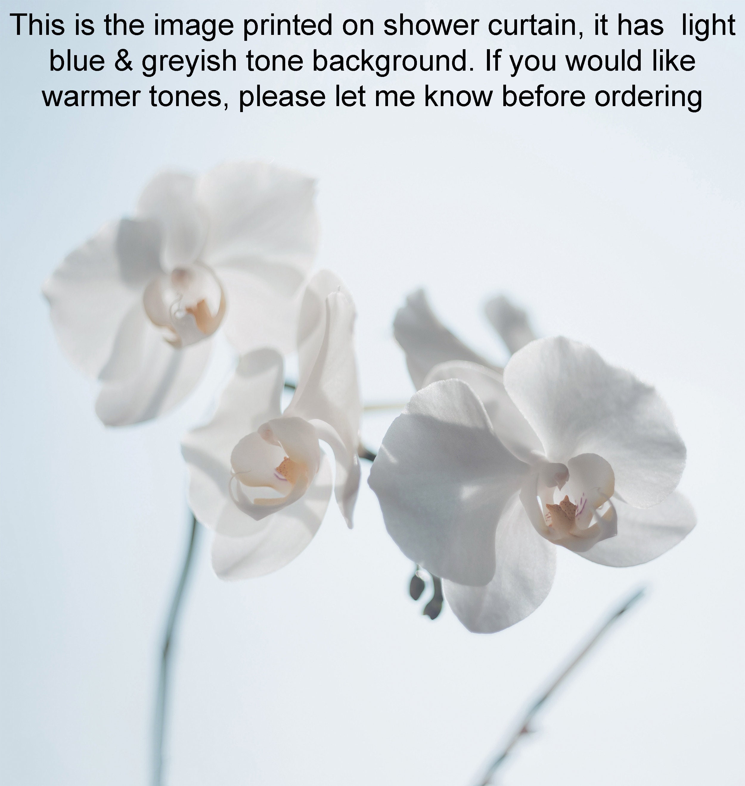 Orchid Shower Curtain Orchids Shower Curtains White Shower - Etsy